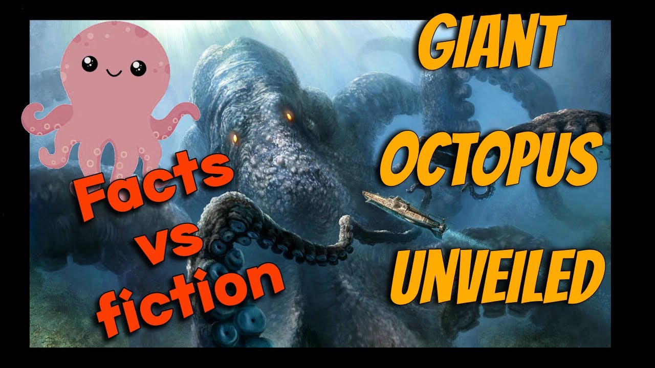 The Kraken and the Giant Octopus - Facts vs Fiction - YouTube