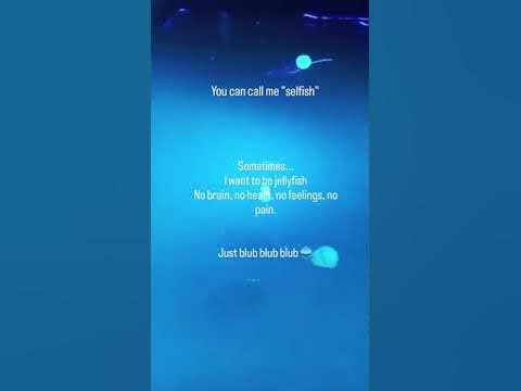 Blub blub blubb - YouTube