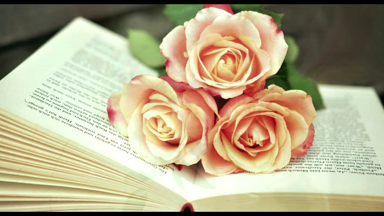Andre Rieu-The Rose - YouTube