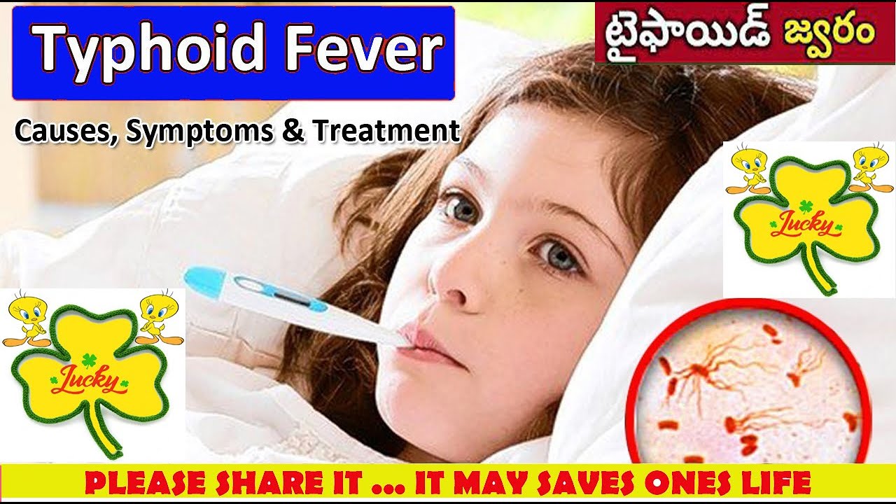 Prevention of Typhoid - YouTube
