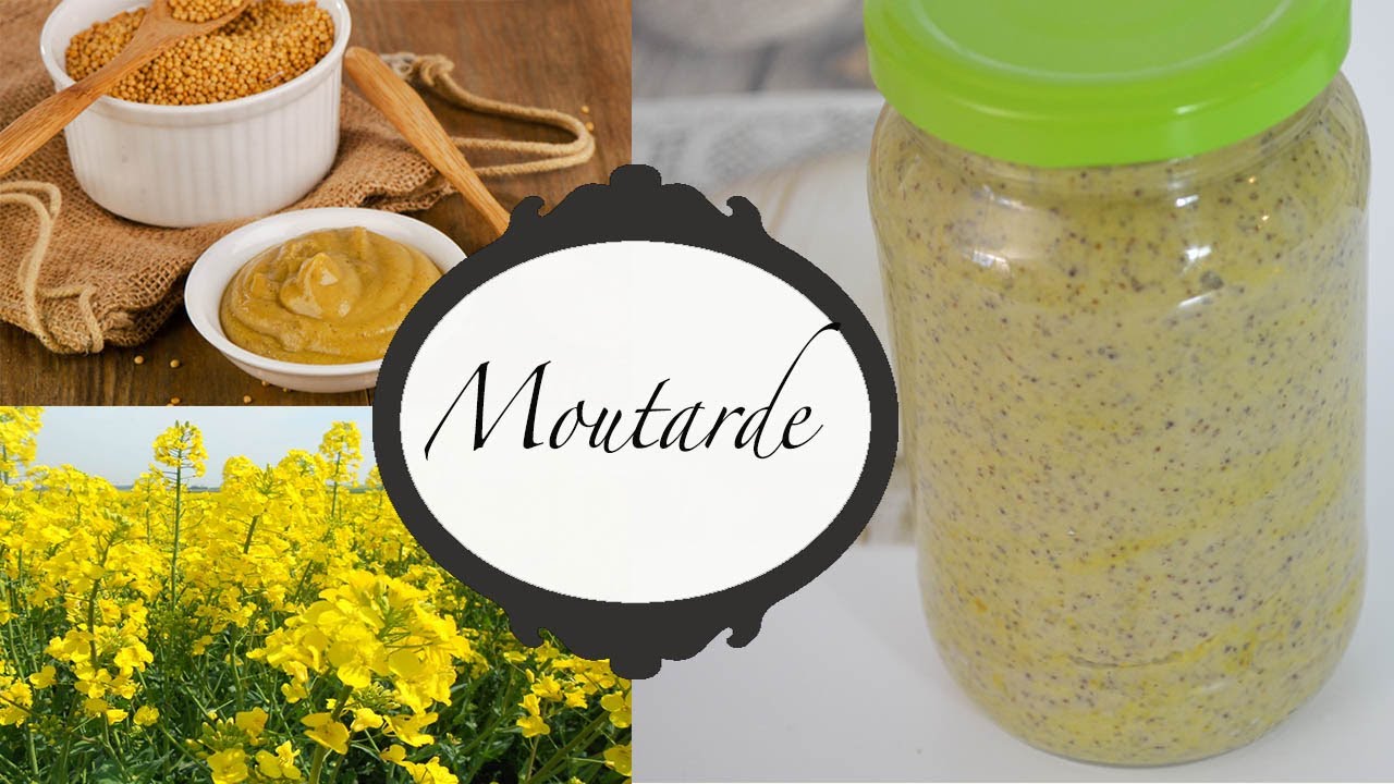 Recette de la moutarde facile - YouTube
