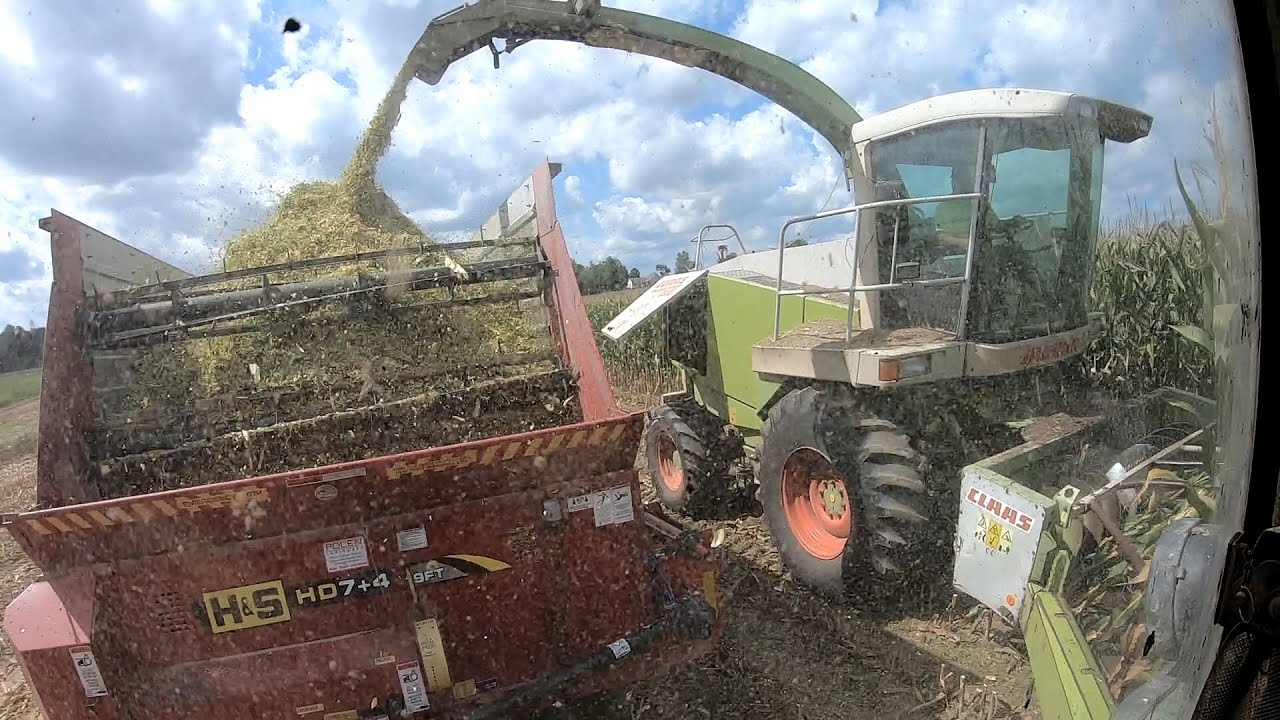 Corn Silage Harvest 2021 With Class 820 Chopper! - YouTube