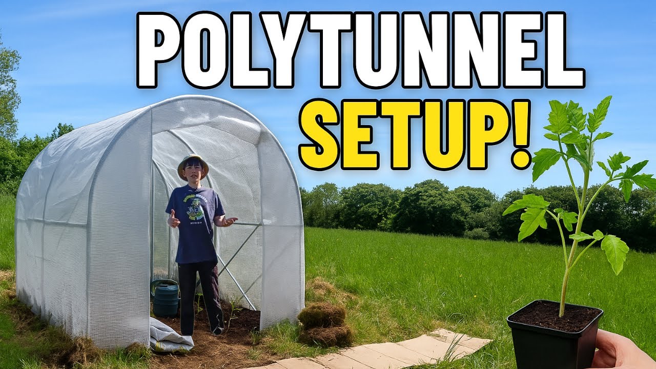 How to Set Up a Beginner Polytunnel + First Planting Tutorial (Tomatoes ...