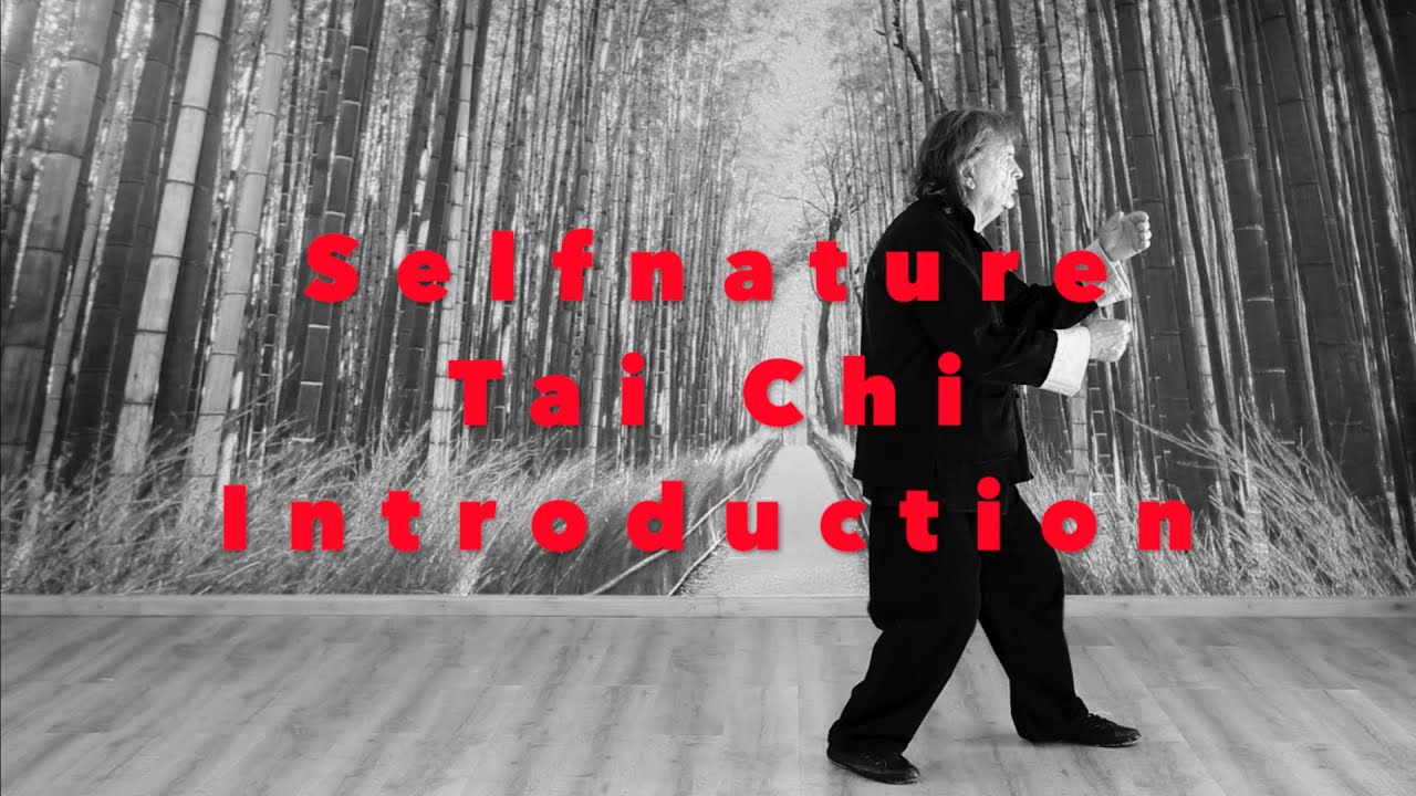 Introduction to Tai Chi step by step lessons for beginners - YouTube
