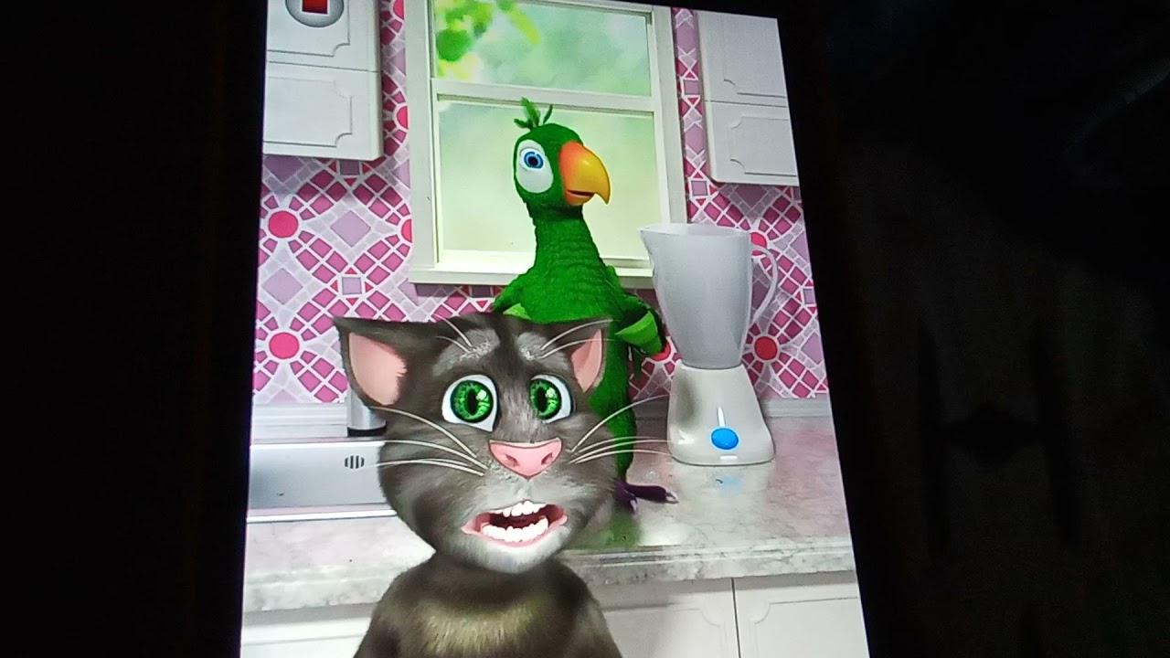 Talking Pierre The Parrot - YouTube