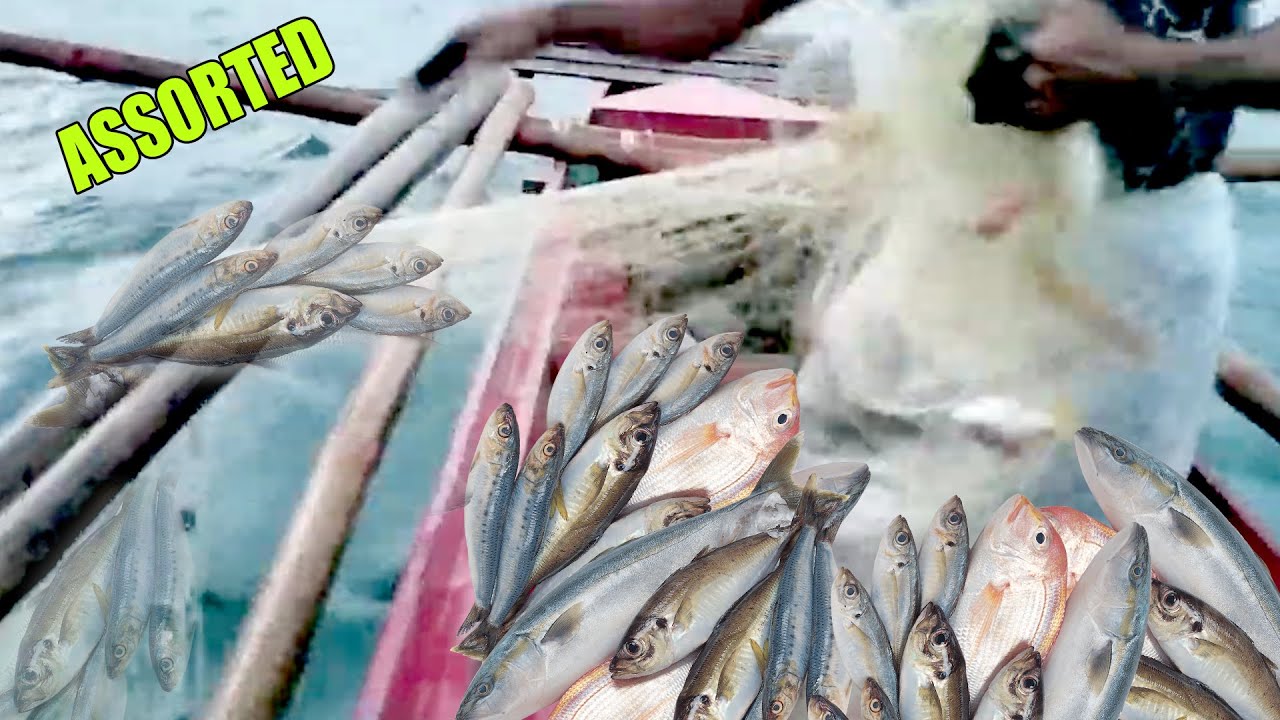 PANGINGISDA PART 1 SWERTE SA ASSORTED | FISHIN | FISH - YouTube