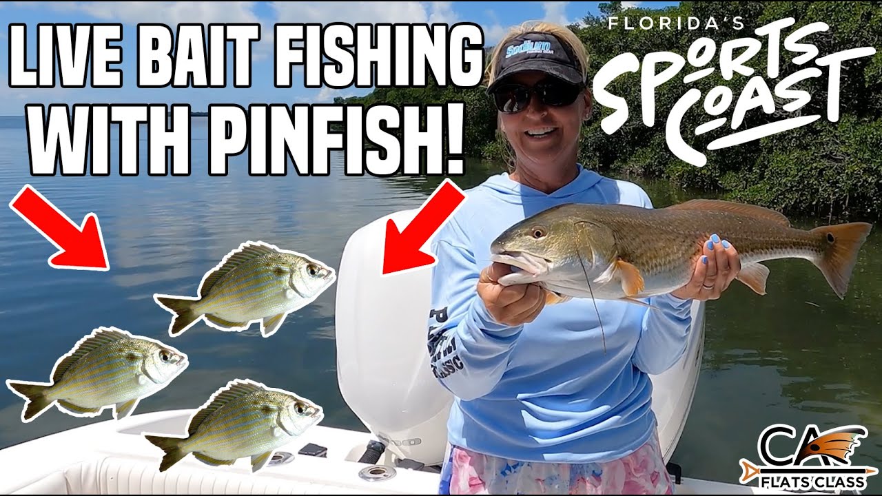 Live Bait Fishing With Pinfish! | Flats Class YouTube - YouTube