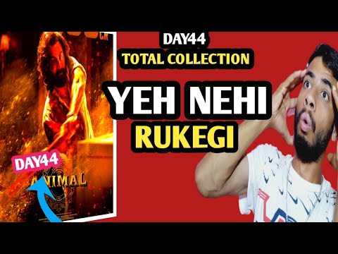 Animal Day 44 Collection |Animal Box office collection |Animal Total ...