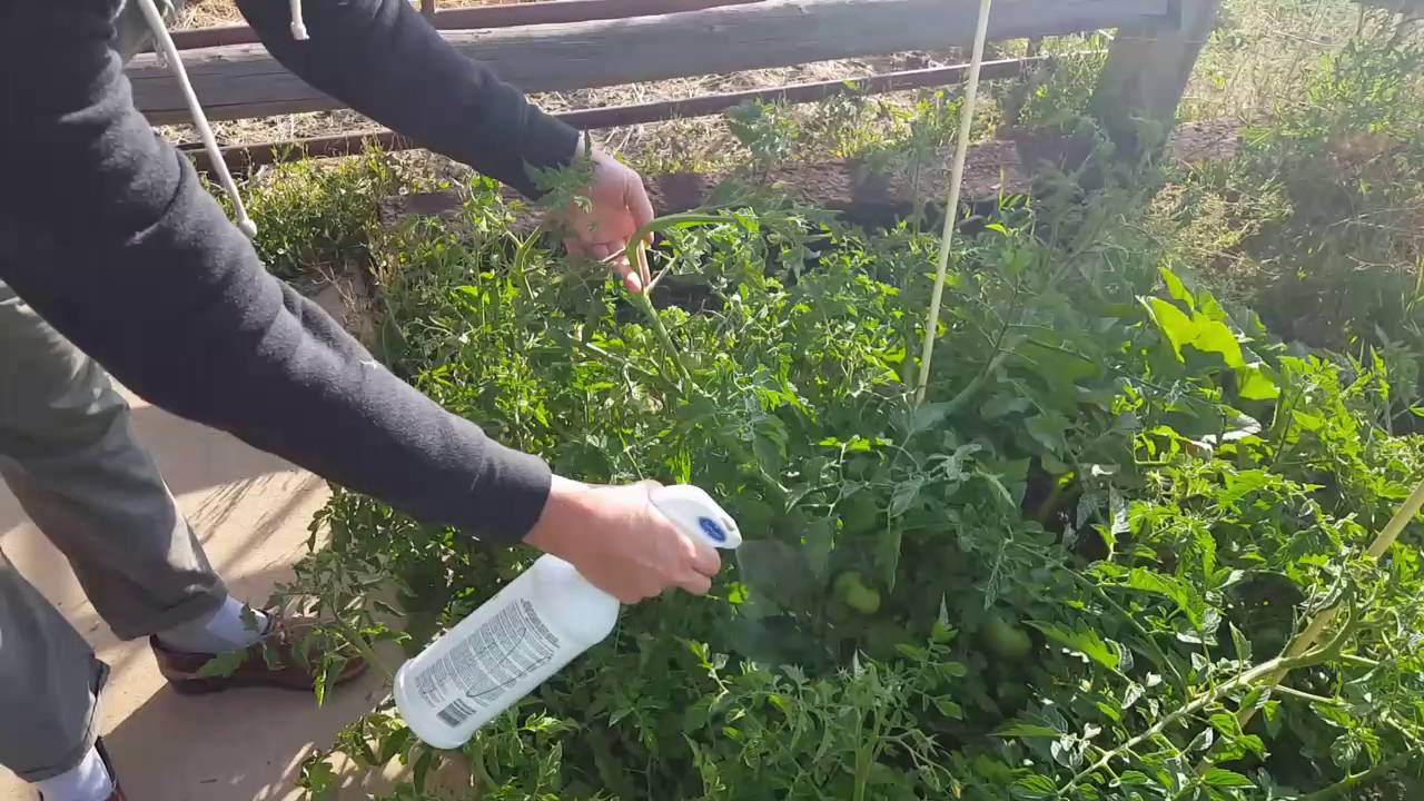 Natural Armor Animal Repellent - YouTube