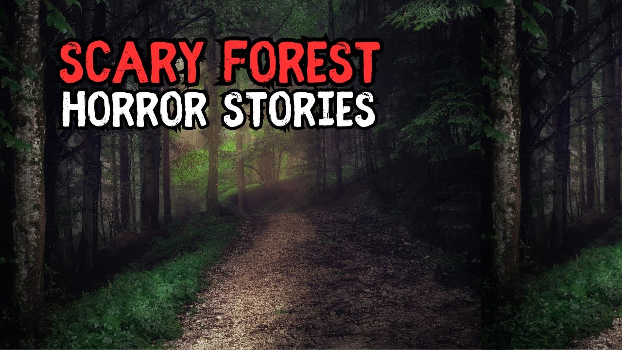 Scary True Forest Horror Stories - Forest Encounters - YouTube