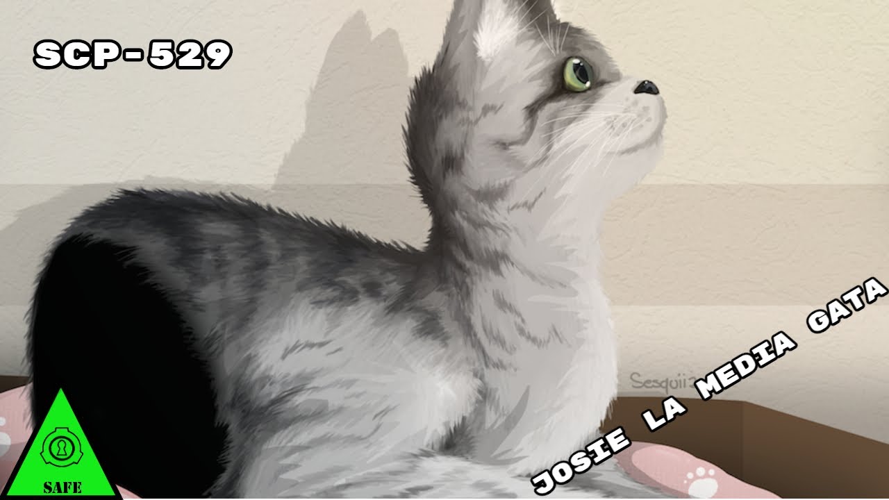 SCP 529:JOSIE LA MEDIA GATA - YouTube