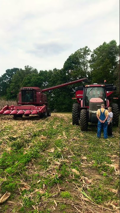 It’s Harvest Time!!! #harvesttime - YouTube