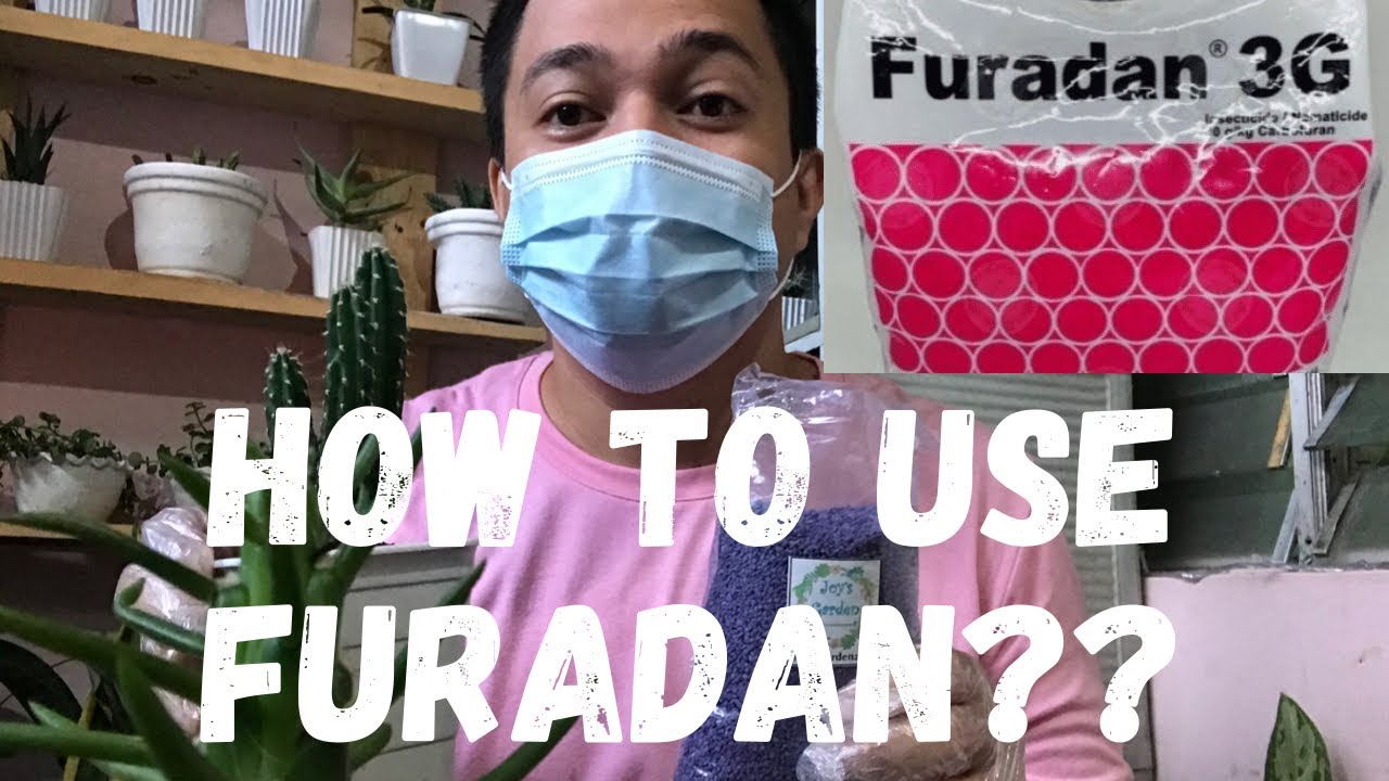 How to use Furadan insecticide? - YouTube