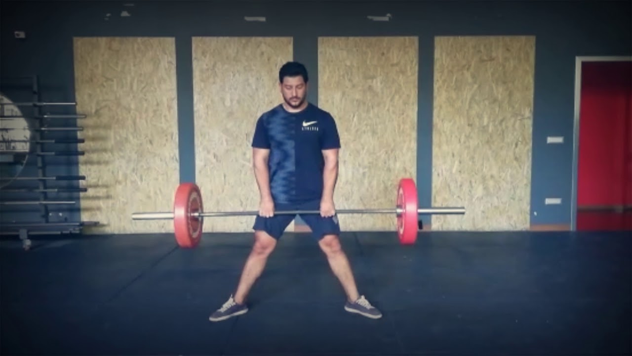 Tutorial STACCO SUMO - YouTube