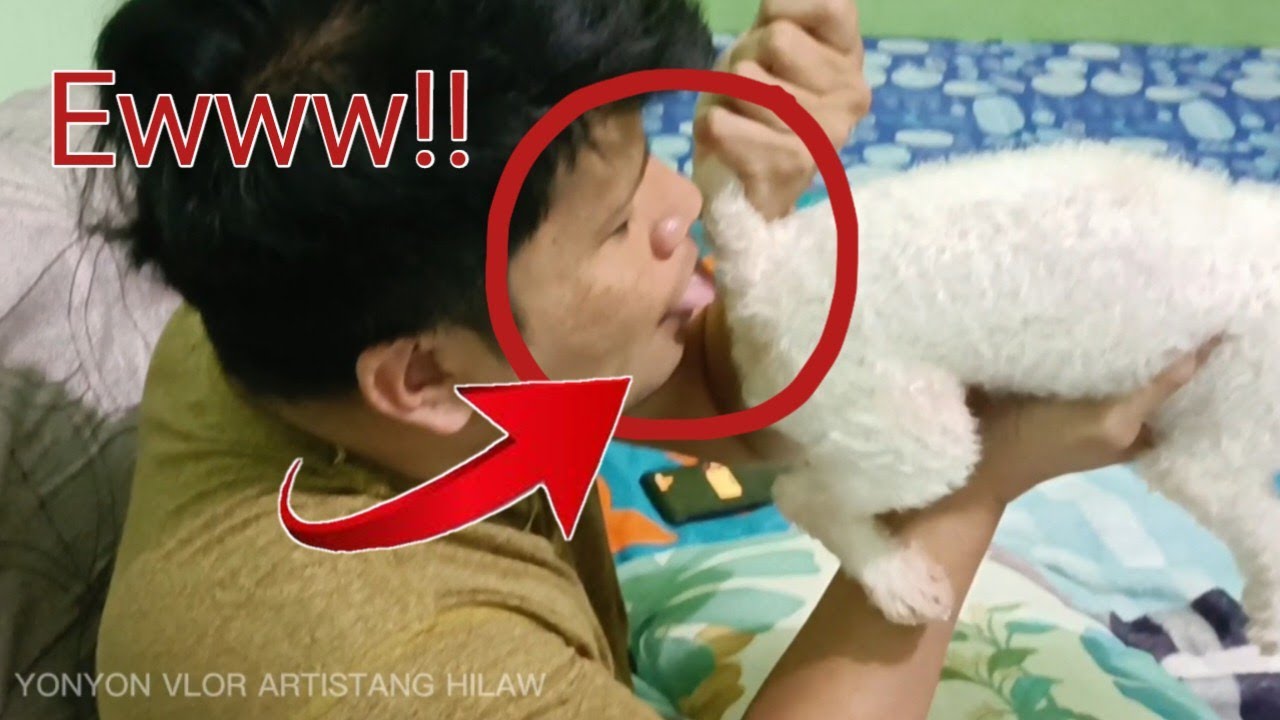 Trending challenge dilaan ang pwet ng aso | Yonyon Vlog Artistang Hilaw ...