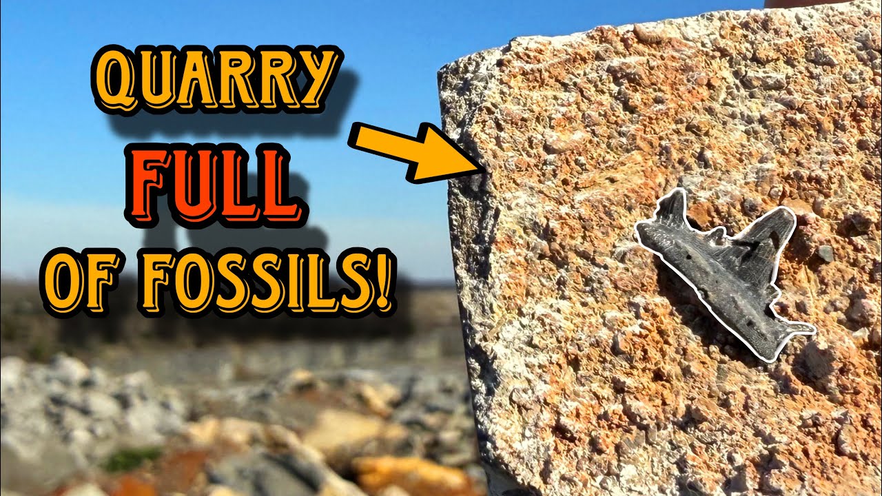 Fossil hunting an ACTIVE QUARRY in North Alabama! - YouTube