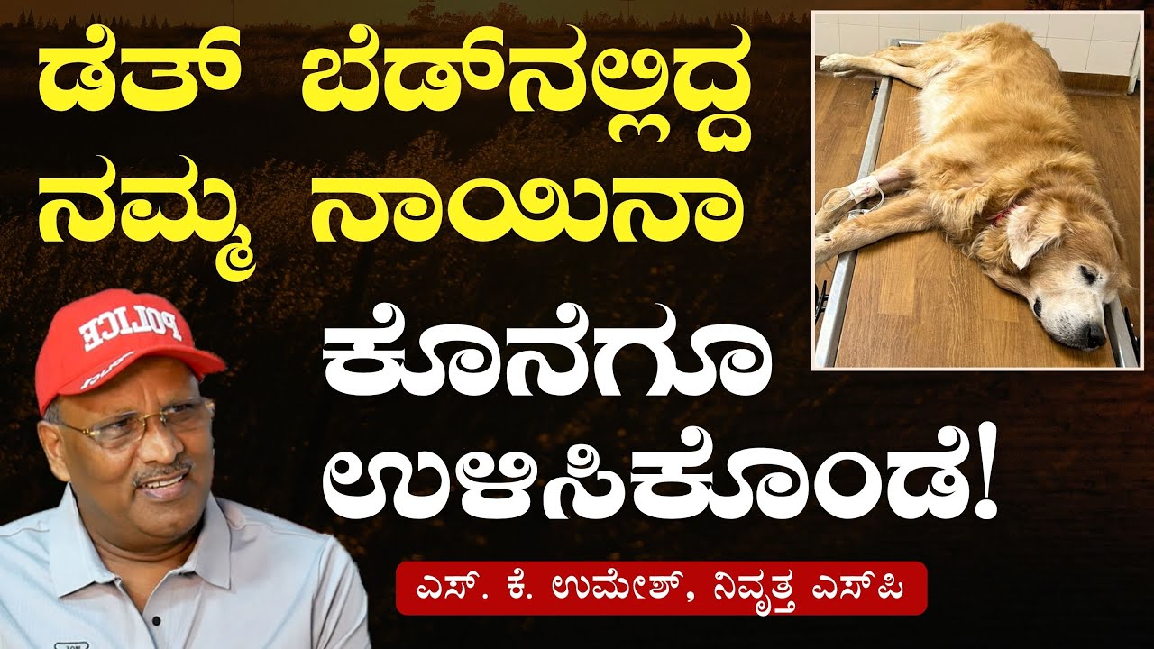 ಡೆತ್‌ ಬೆಡ್‌ನಲ್ಲಿದ್ದ ನಮ್ಮ ನಾಯಿನಾ ಕೊನೆಗೂ ಉಳಿಸಿಕೊಂಡೆ!|S K Umesh|Exclusive ...