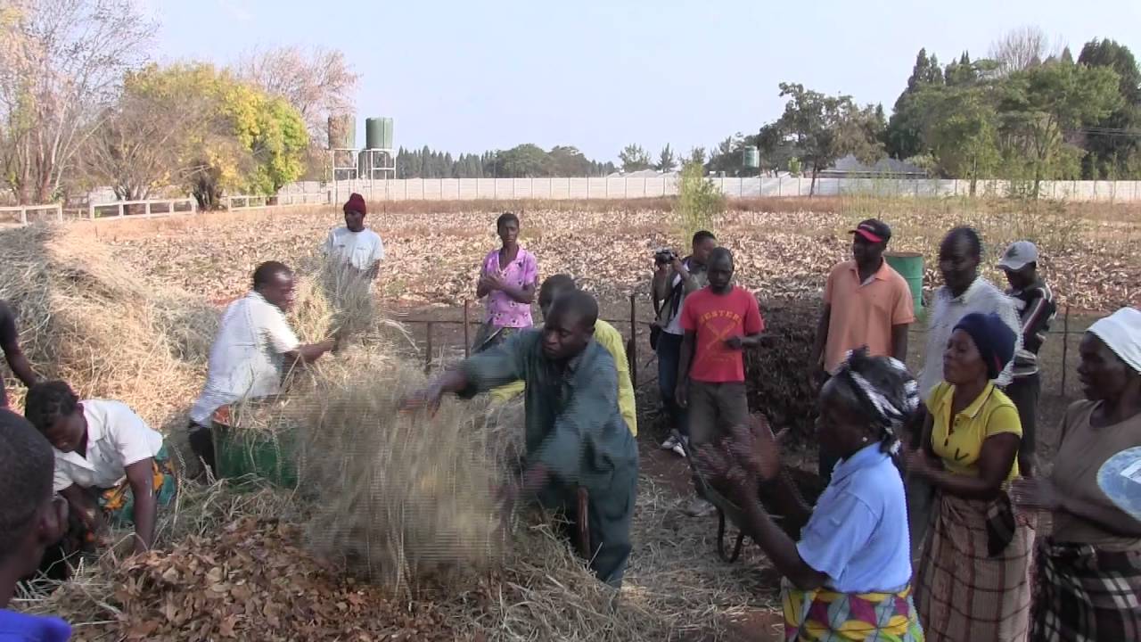 Kanyemba Compost Song - YouTube