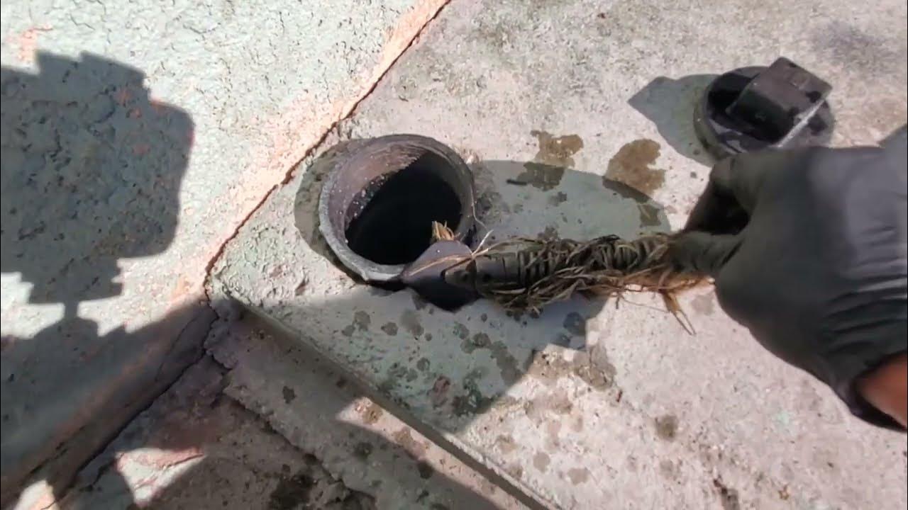 The sewer clogged again - YouTube