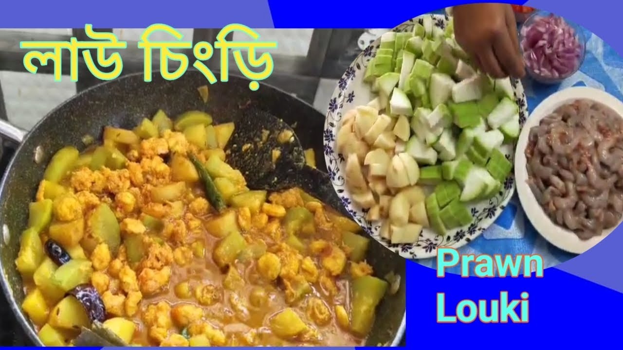 PRAWN LOUKI RECIPE, লাউ চিংড়ি দিয়ে রান্না করা হলো এক অতুলনীয় স্বাদের ...