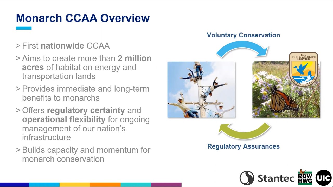 DOT Monarch CCAA Roundtable - November 16, 2022 - YouTube