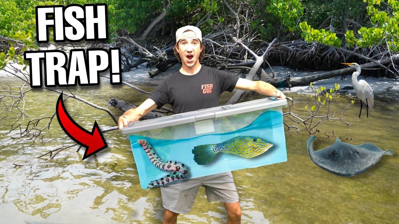 FISH TRAP Catches EXOTIC FISH For My SALTWATER AQUARIUM!! *insane ...