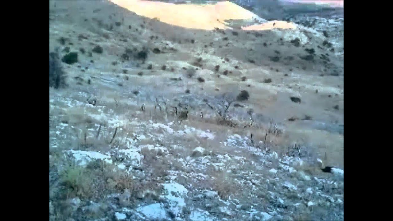 ΕΚΠΑΙΔΕΥΤΙΚΟ ΣΕ ΟΡΕΙΝΗ ΠΕΡΔΙΚΑ 2011 LETO POINTER. ALKIS.B - YouTube