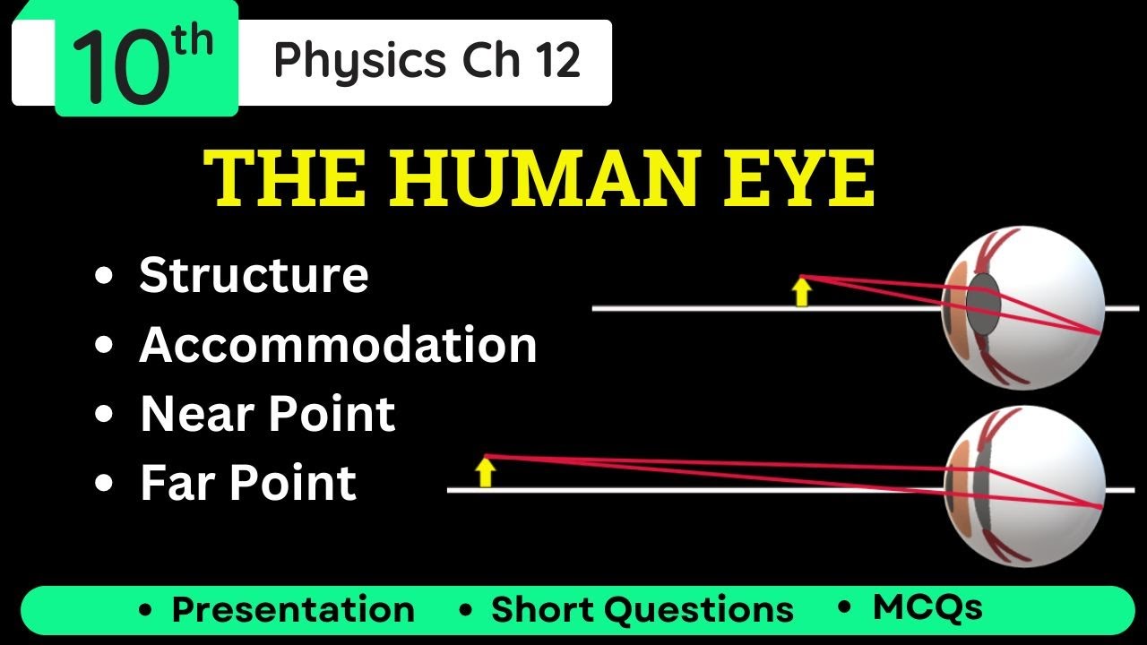 The Human Eye Class 10 Physics Ch 12 | Structure of Human eye , Near ...