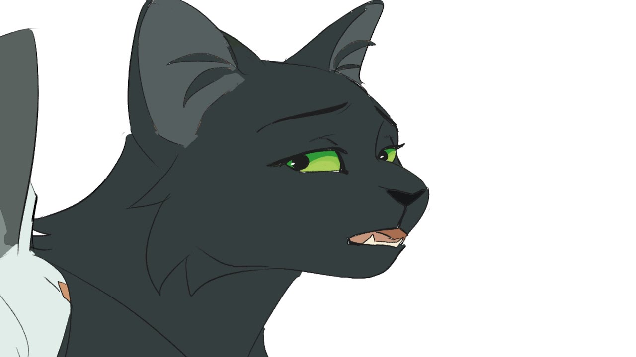 Hollyleaf gives some life advice - YouTube