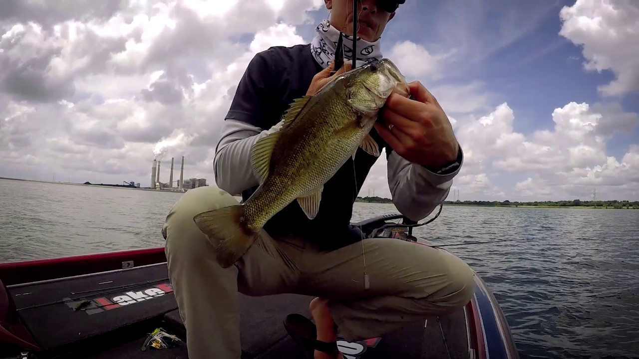 This NEW Dropshot Bait Is Catching Tons Of Bass - YouTube
