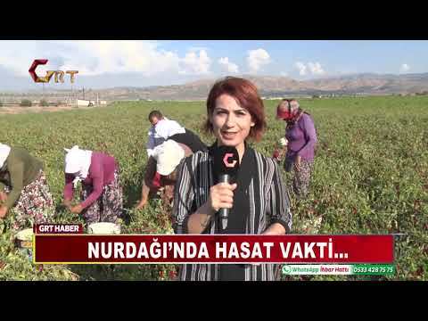 NURDAĞI BİBERİNE DEĞER KATAN KADINLAR