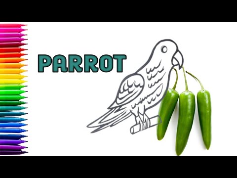 How to Draw a Parrot 🦜 Easy || Drawing parrot Easy Step by step ...