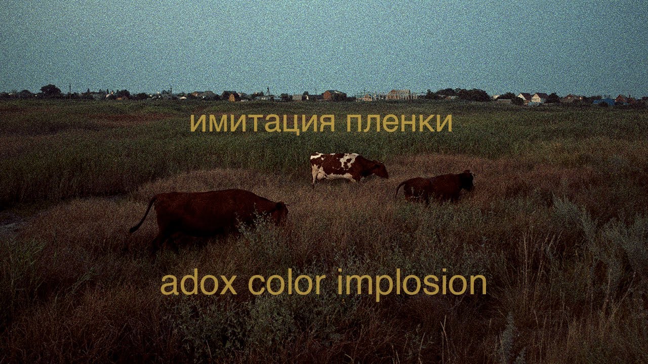 Имитация Adox Color Implosion в Dehancer OFX Plugin - YouTube