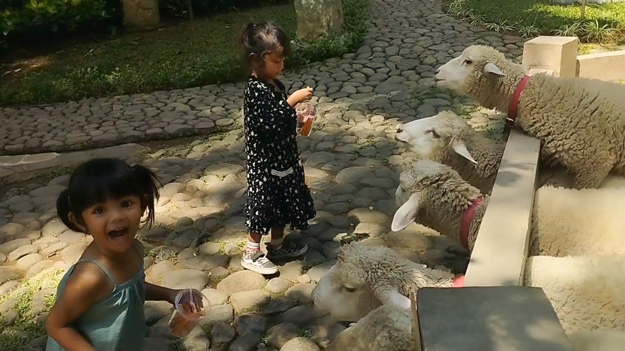 Satu Hari Bermain di Cimory Dairyland Riverside Bersama Una dan Gia ...