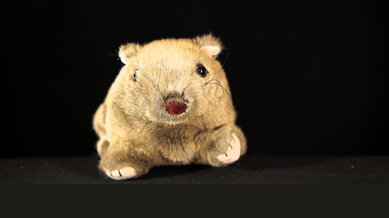 Wally Wombat - Music and Fun - YouTube