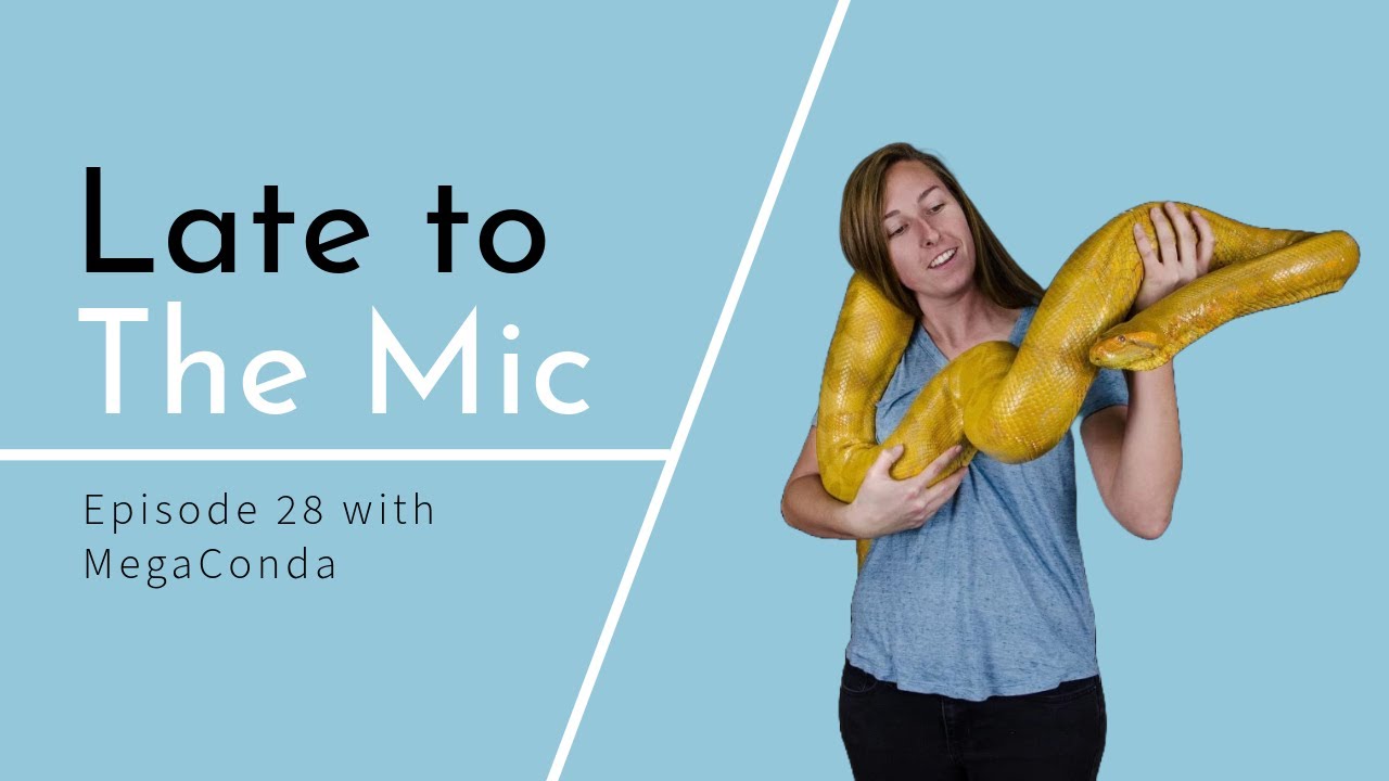 Episode 28: The Meg!!! Giant Constrictors with Meghan of MegaConda ...