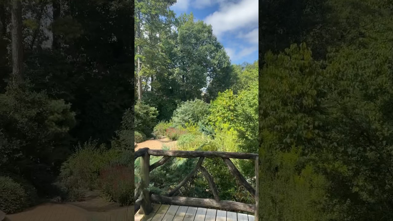 perfect study spot #aestheticvideo #vlogger #charlotte #study # ...