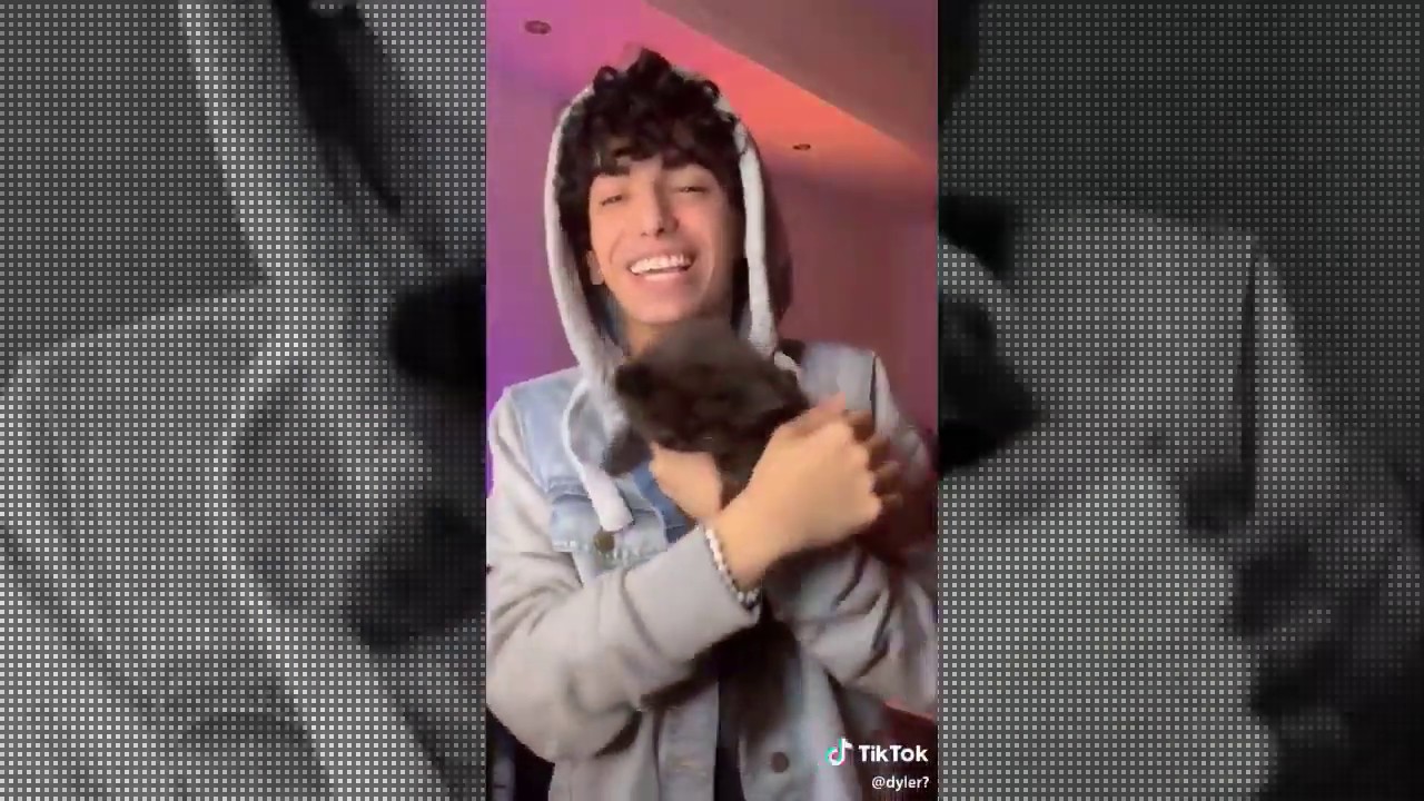 شاهد دايلر على تيك توك 2019 TIK TOK Dyler - YouTube