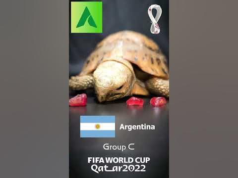 Argentina vs México ⚽ Copa do Mundo 2022 - Previsão do Jabuti 🐢 - YouTube
