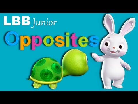 Opposites Song | Original Songs | By LBB Junior