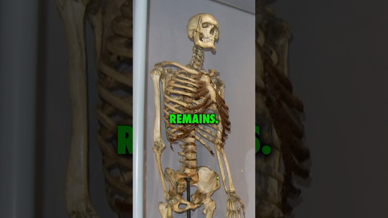 The Smithsonian is hiding giant bones! #ninjasarebutterflies #podcast ...