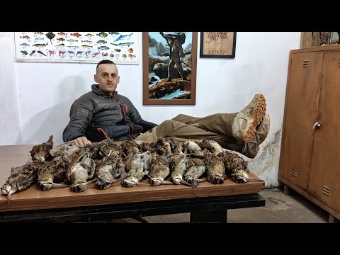 SHOTKAMGEN4 İLE ÇULLUK AVI #beccaccia #woodcock #вальдшнеп#Μπεκάτσα#türkiye