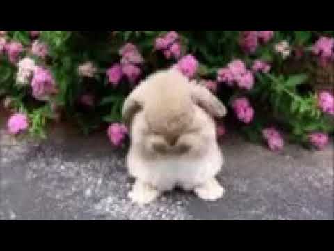 23 de julio de 2019(2)