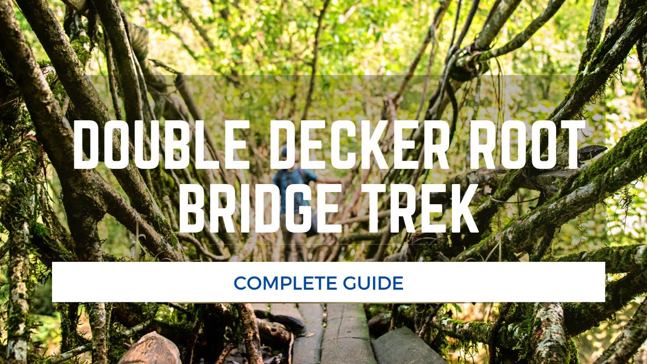 Complete Guide to Double Decker Living Root Bridge Trek Nongriat|Best ...