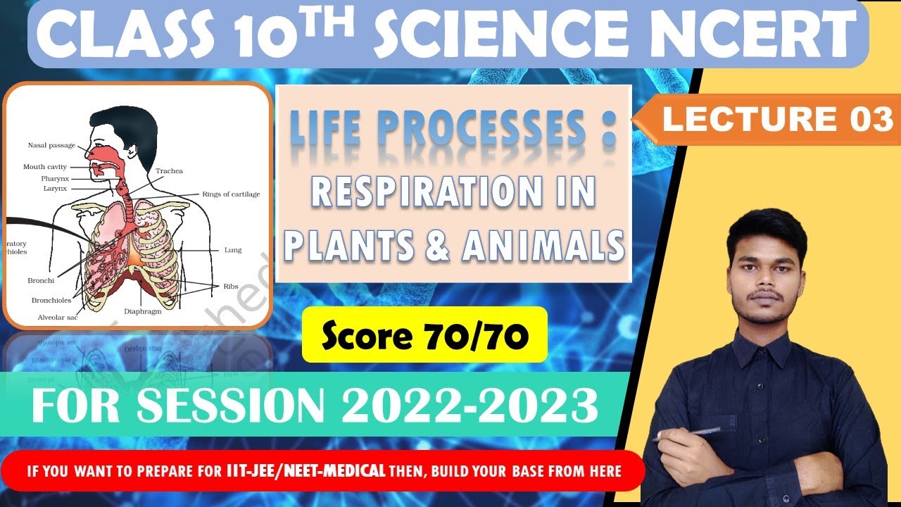 life processes class 10 science biology | Respiration in plants and ...