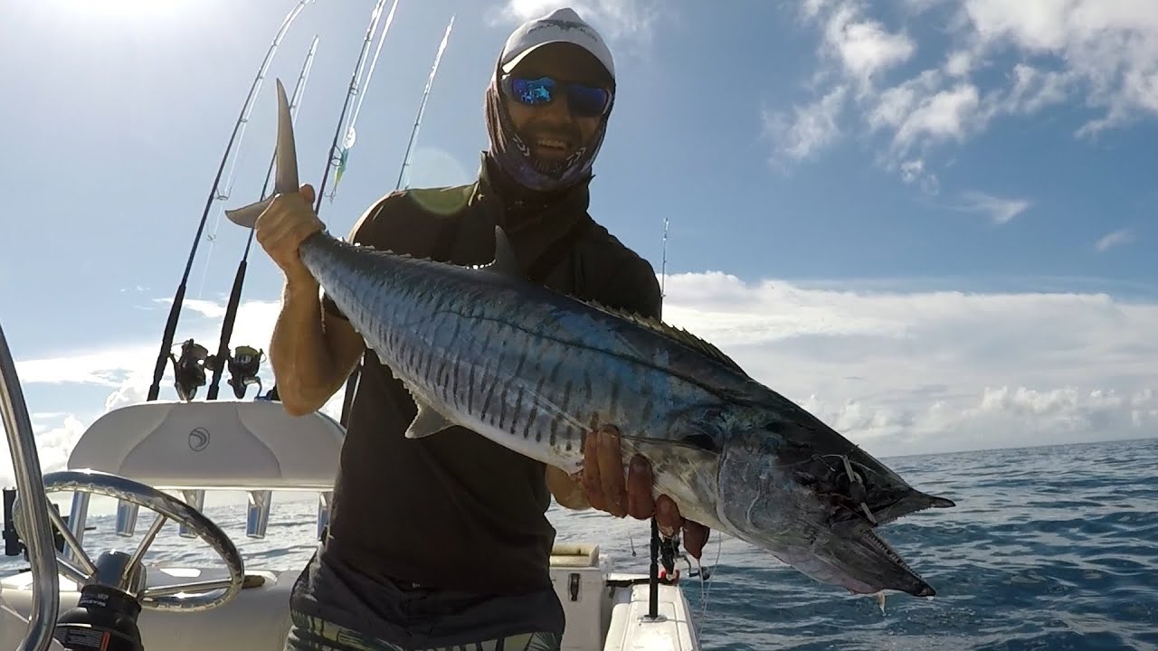 MACKEREL TROLLING GARFISH & DOWNRIGGING COBIA - YouTube
