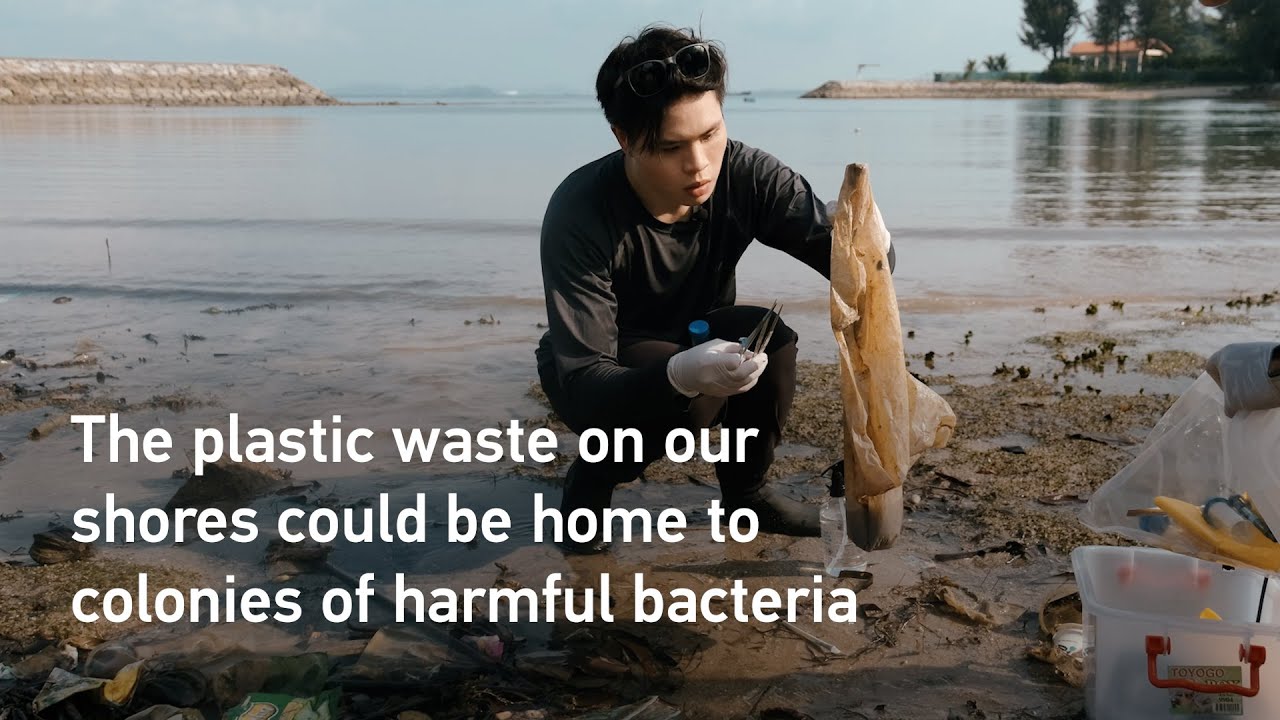 Thriving colonies of potentially harmful bacteria found on plastic ...