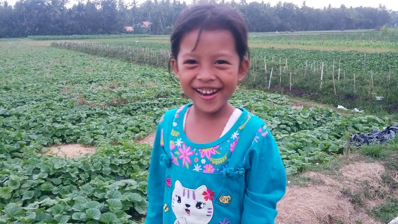 jalan di sore hari di desa jati sari kulon progo mantul - YouTube