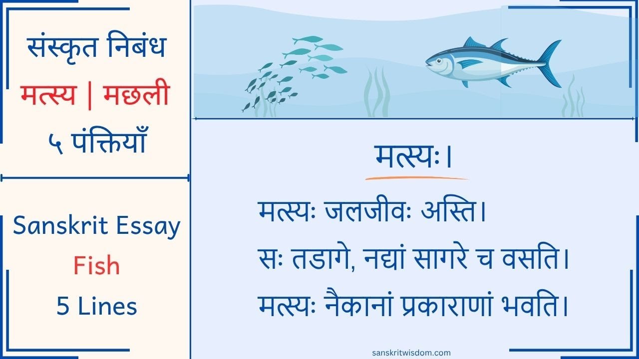 मत्स्य पर निबंध संस्कृत में | मत्स्य पर 5 लाइन | मछली पर निबंध संस्कृत ...