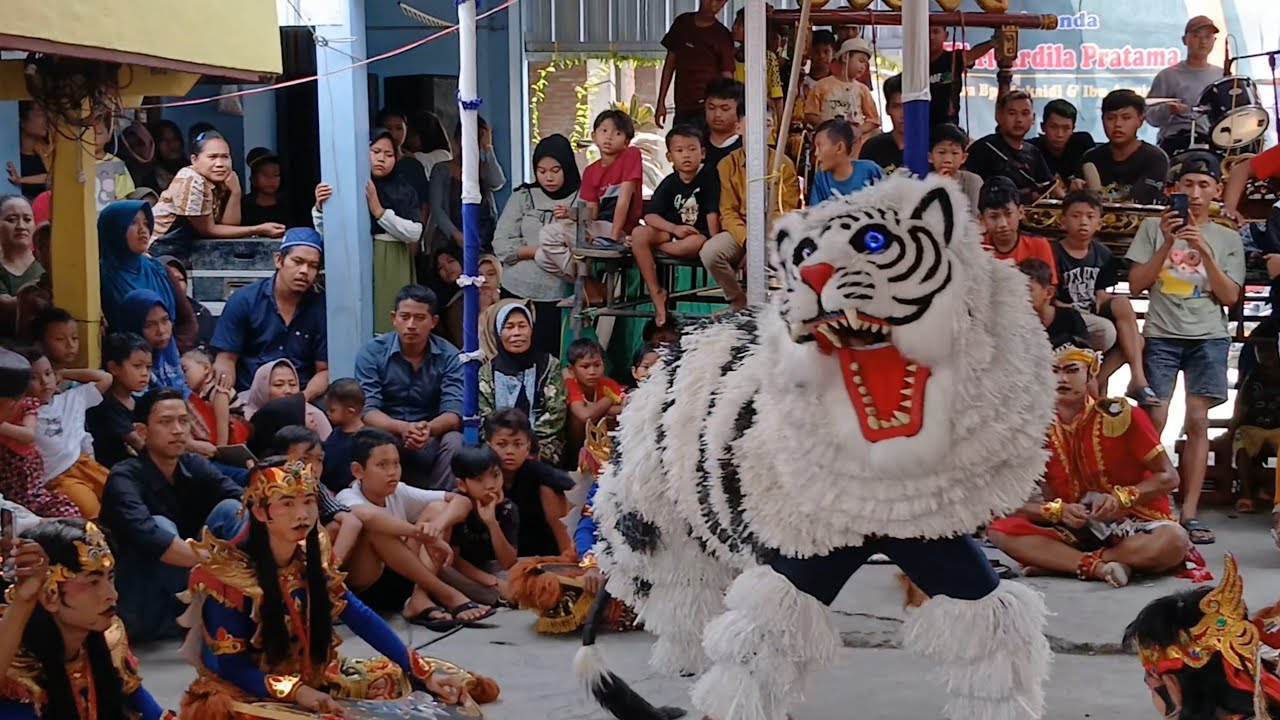 WADIDAWW BARONGAN MATA BIRU ?! MACAN PUTIH BIBISAWIJOYO - YouTube